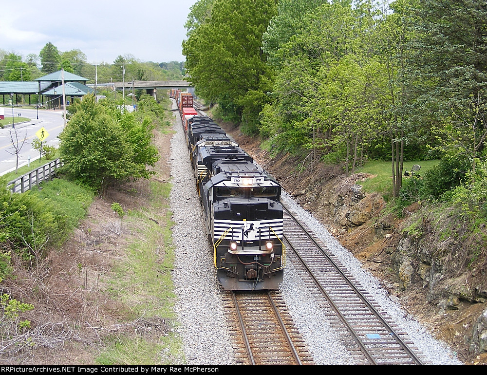 Picture Categories: Action